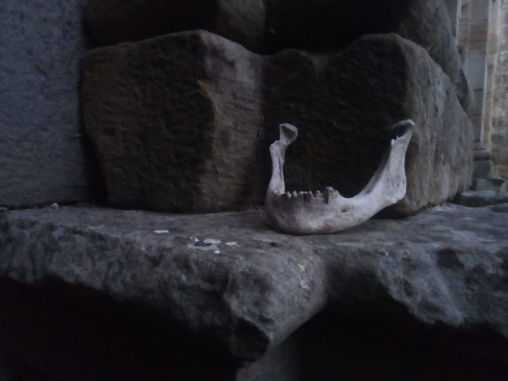 Aparecen restos humanos en el Monasterio de Obona – InfoAsturies