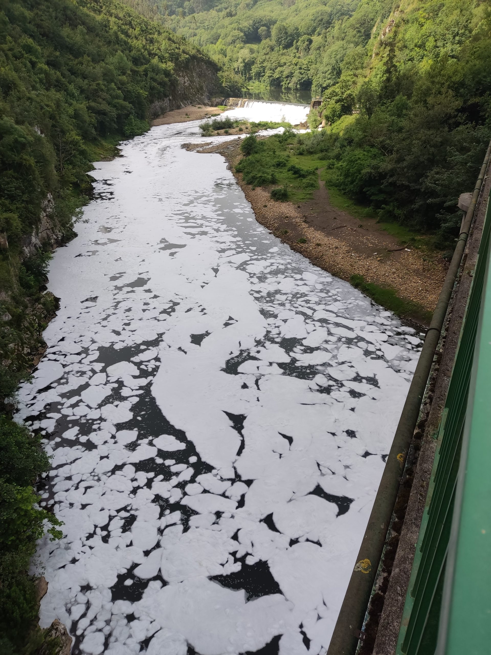 El ríu Nalón baxa blancu – InfoAsturies